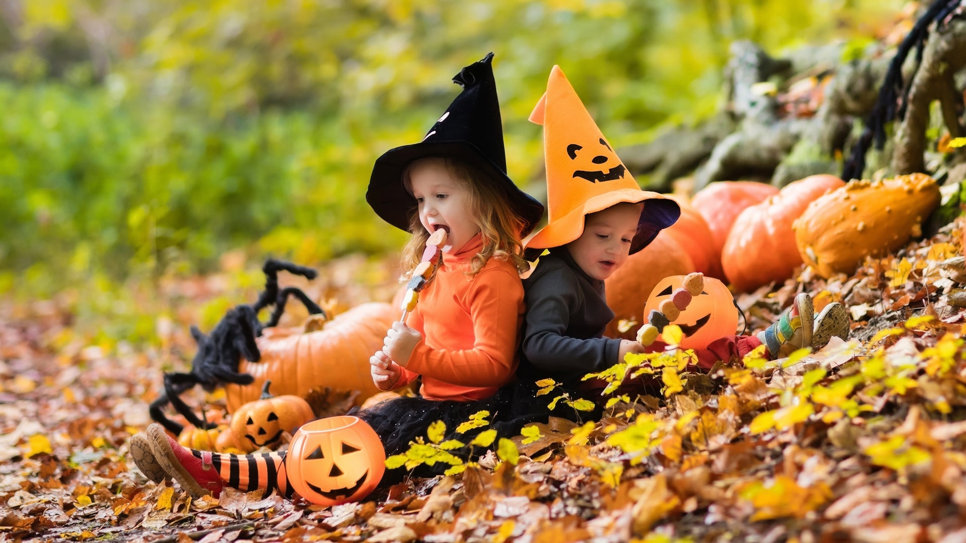 October Party Planner: Décor, DIY & Inspiration for Every Celebration ...