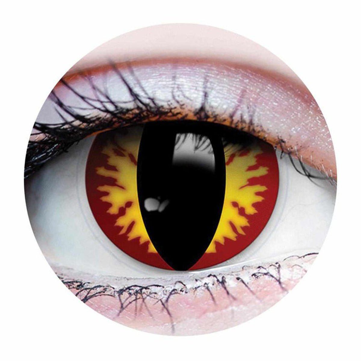 Special Effect Contact Lenses for Halloween | Party Expert