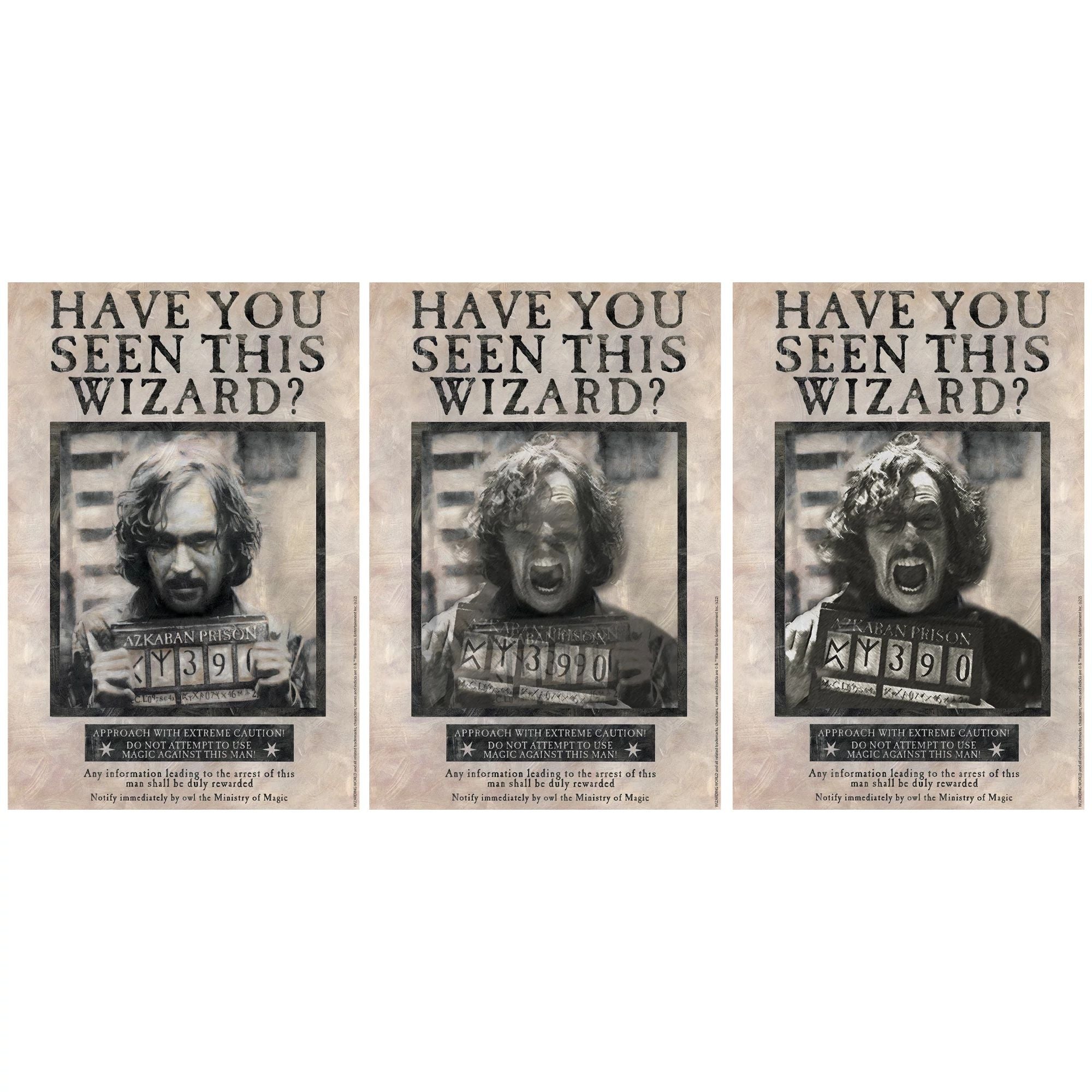 Affiche De Recherche De Sirius Black Roman Folio Junior Harry