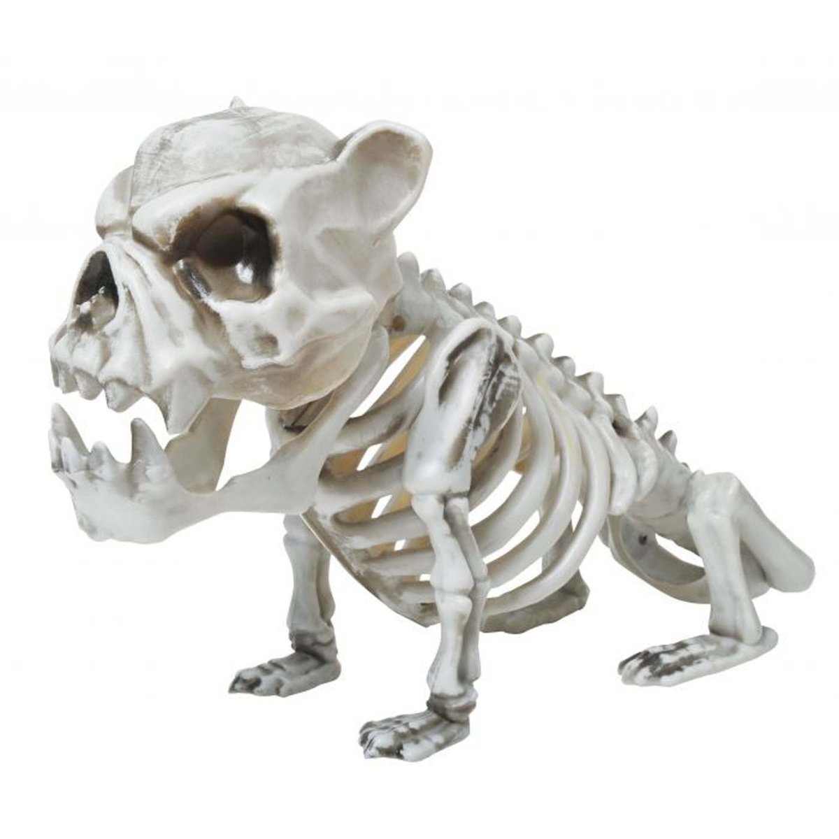 Skele Bull Dog, 13 Inches, 1 Count | Party Expert