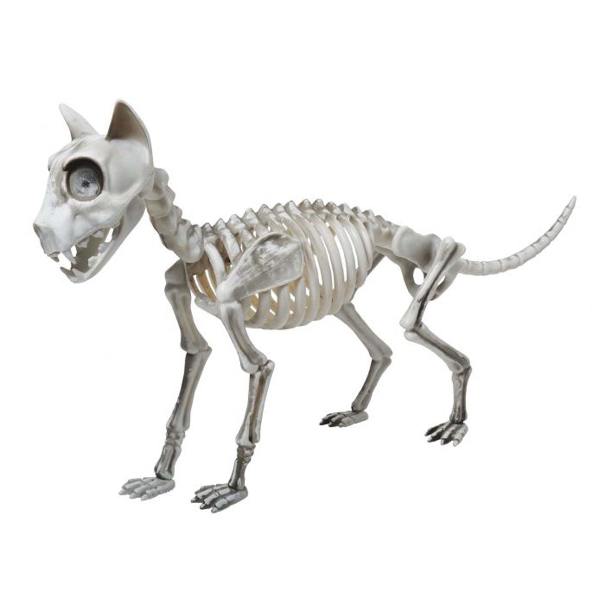 Skele Cat, 20 Inches, 1 Count | Party Expert