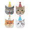 Party Cats Birthday Small Beverage Napkins, 16 Count | Party Expert