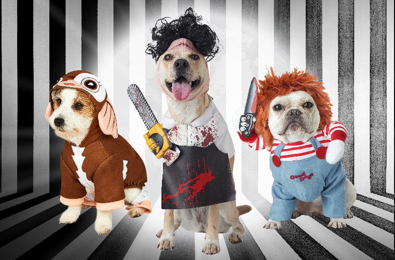 Costumes d'Halloween - No.1 Magasin de déguisements pour Halloween ...