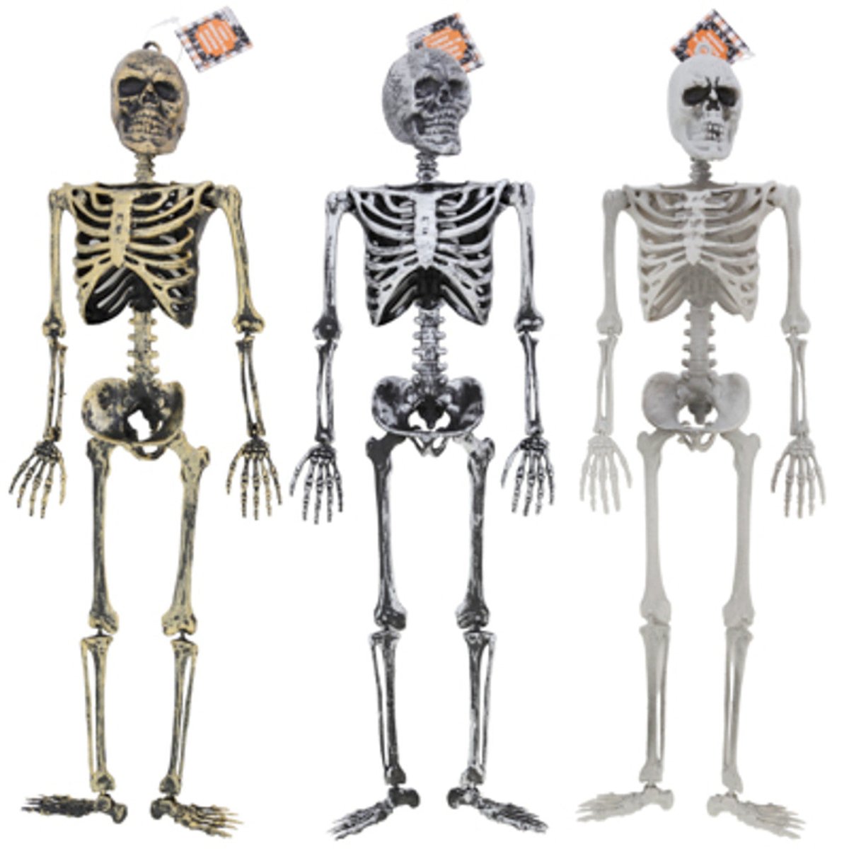 Hanging Skeleton, 24 Inches, Assortment, 1 Count | Party Expert