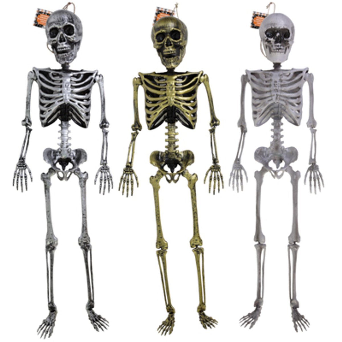 Hanging Skeleton, 36 Inches, Assortment, 1 Count | Party Expert