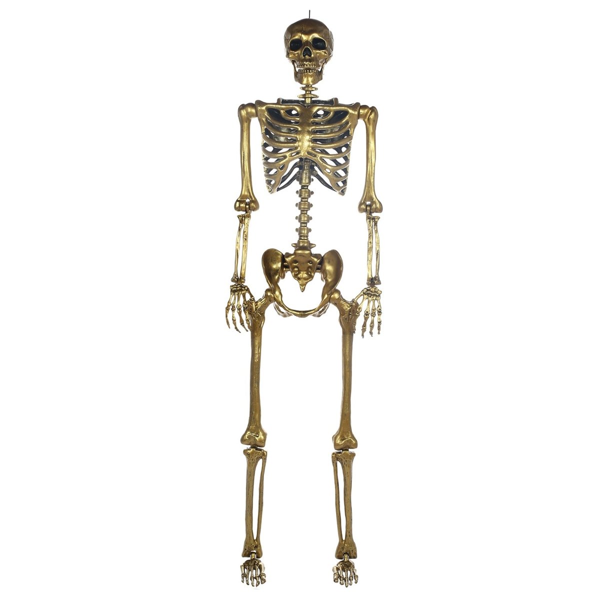 Gold Posable Skeleton, 60 Inches, 1 Count | Party Expert