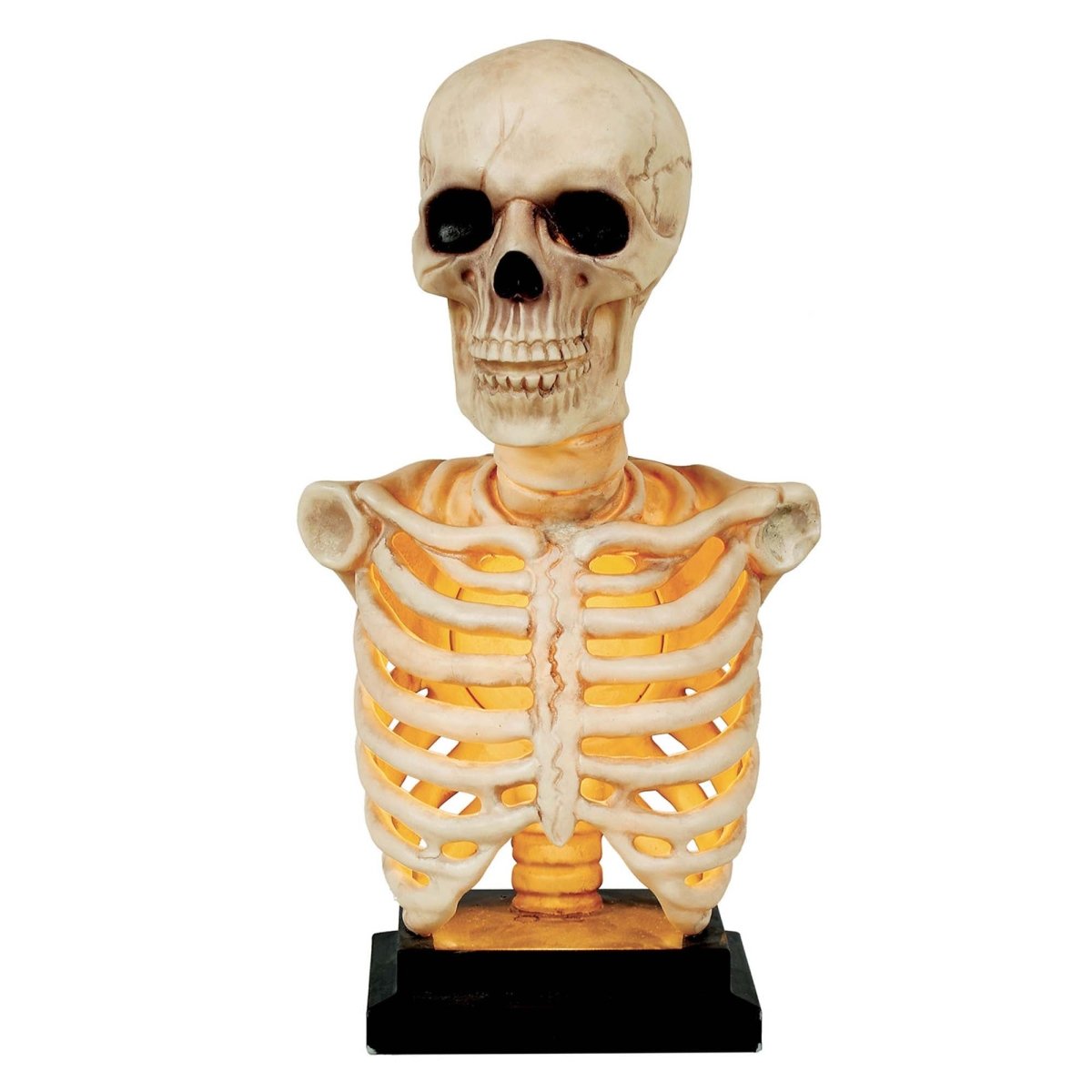 Light-Up Skeleton Bust, 16 Inches, 1 Count | Party Expert