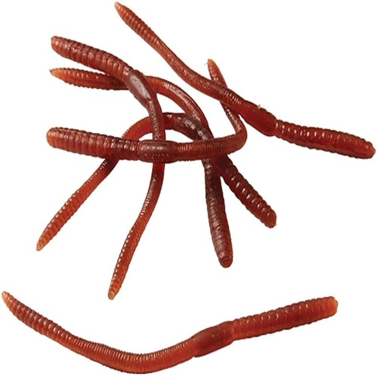 Halloween Worms Stickies, 12 Count | Party Expert