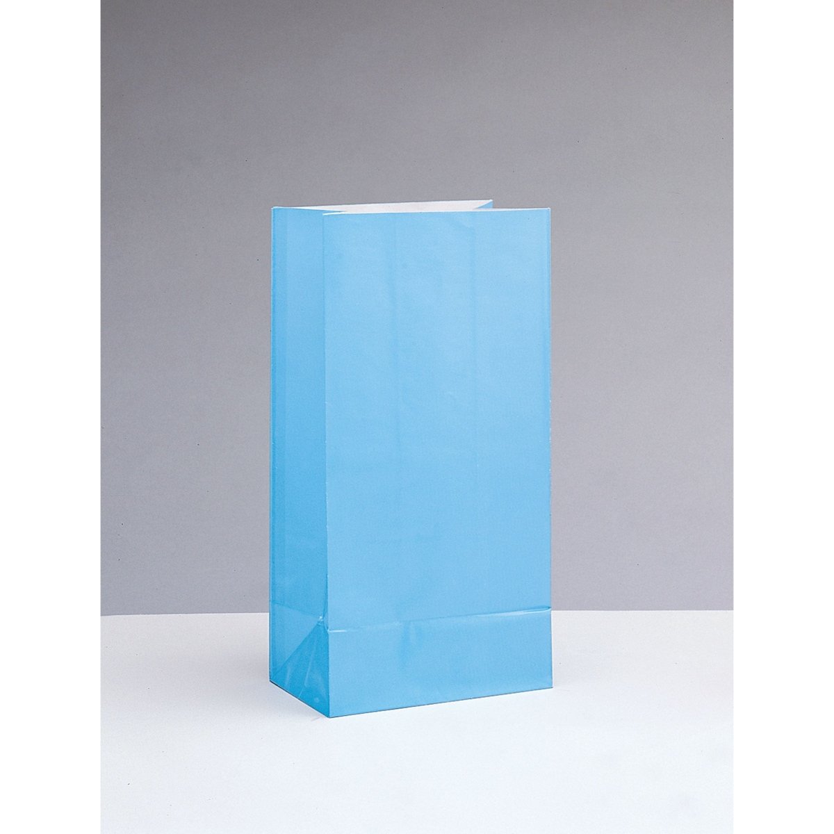 Powder Blue Paper Party Bags, 10 x 5 Inches, 12 Count | Party Expert
