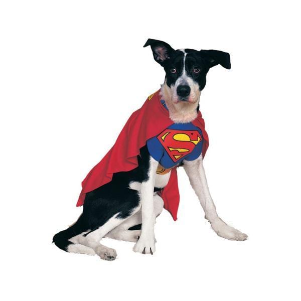 Superman Costume for Dogs | Party Expert