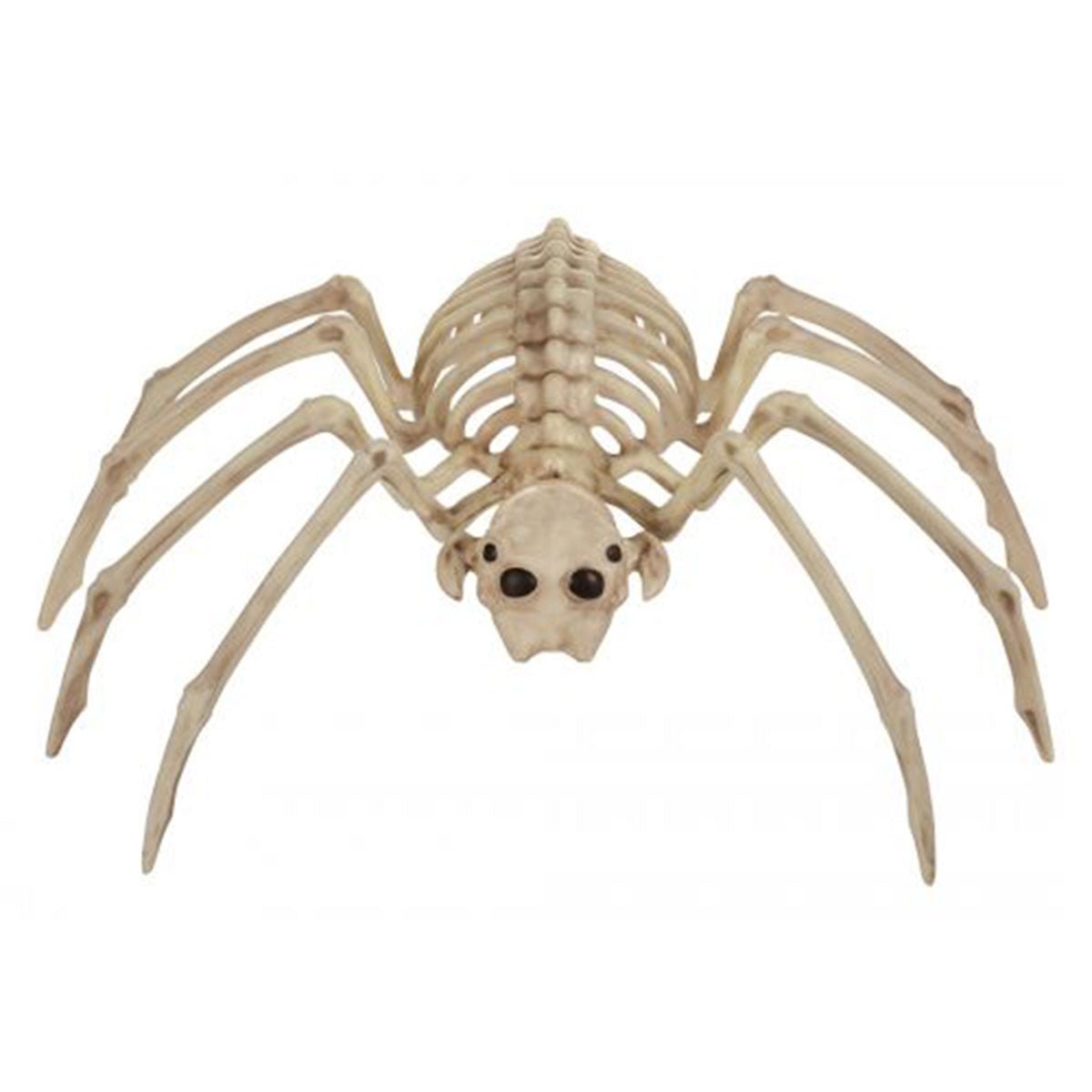Spider Skeleton – Party Expert