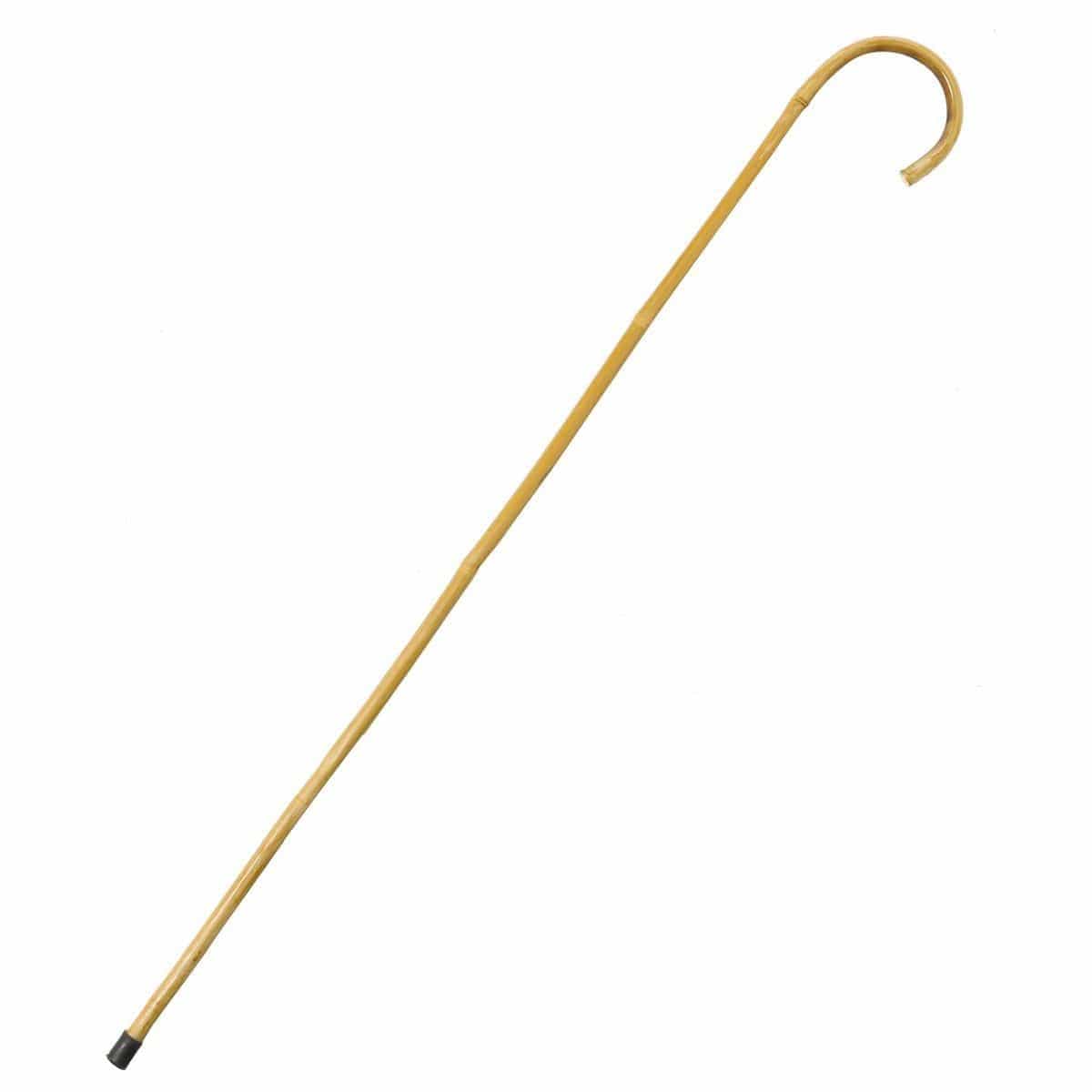Bamboo Walking Cane | Party Expert