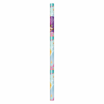 Disney Princess Gift Wrap Roll | Party Supplies – Party Expert